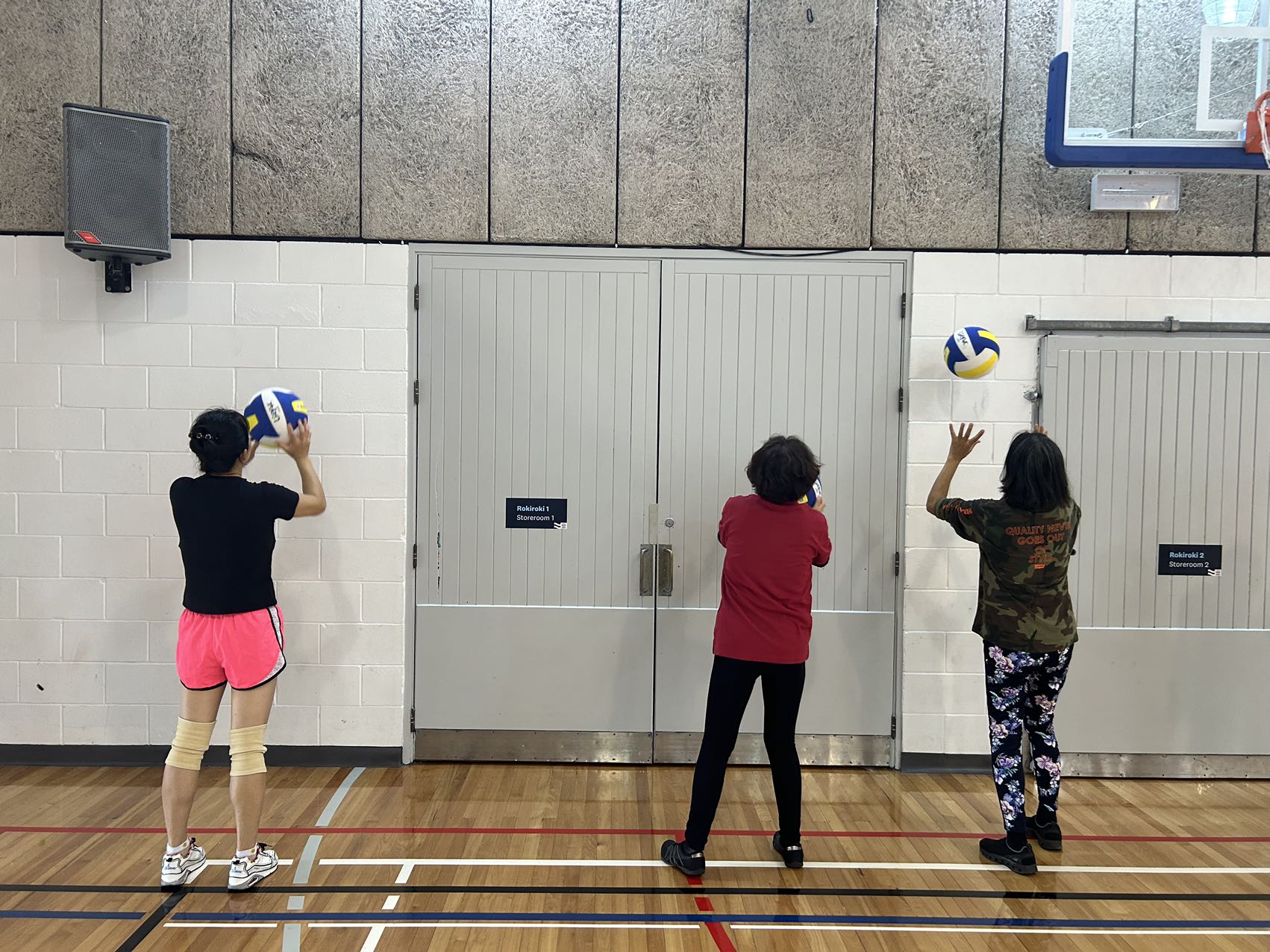 Adult Light Volleyball - Univision Community Trust